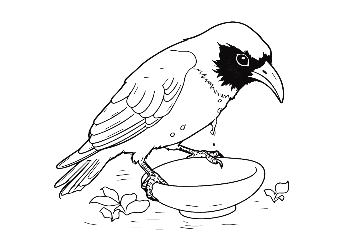 30+ Crow Coloring Pages - Free Printable PDF & Online Coloring