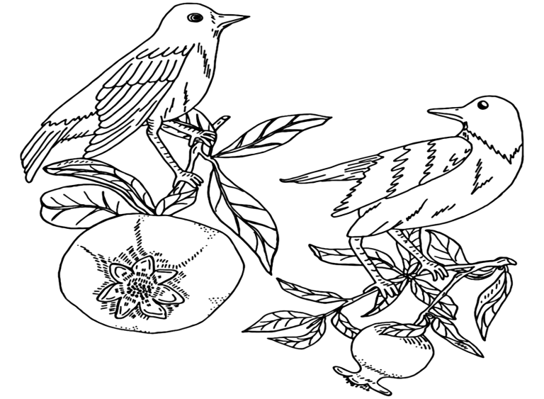 20+ Nightingale Coloring Pages - Free Printable PDF & Online Coloring