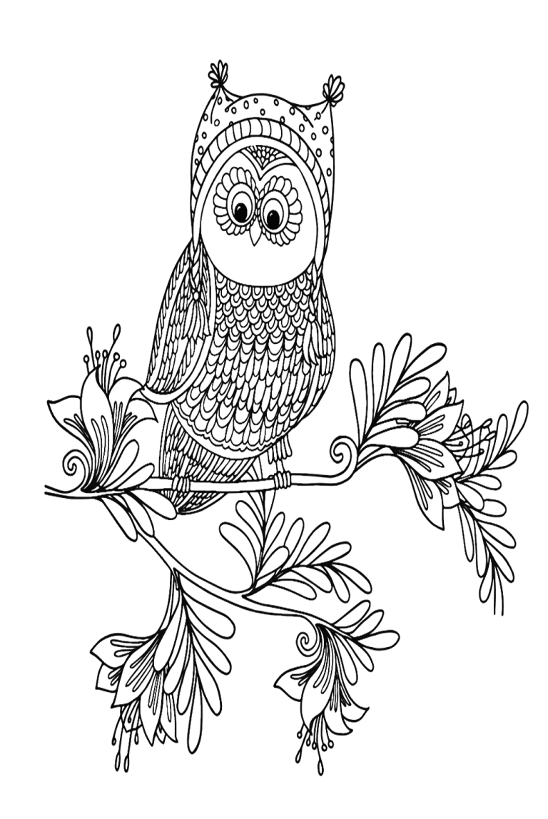 83 Free Printable Owl Coloring Pages